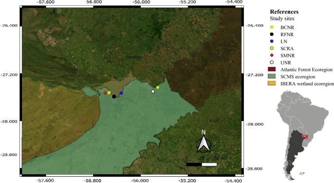 Population densities of black-and-gold howler monkeys (Alouatta caraya ...