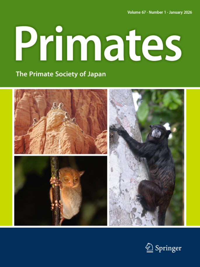Cover illustration of Primates vol. 67 (2026) | Primates | Springer ...