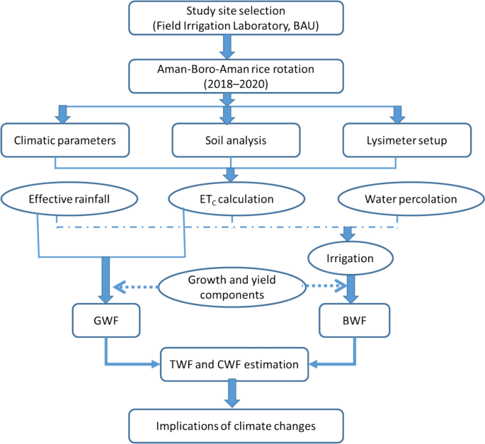 Partitioning water footprints of rice for assessing their implications ...