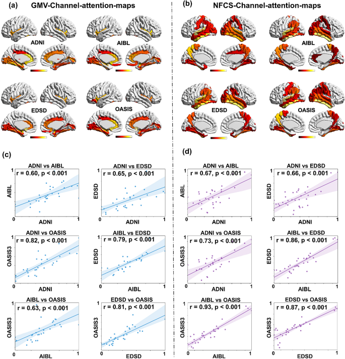 s2MRI-ADNet: an interpretable deep learning framework integrating Euclidean-graph ...