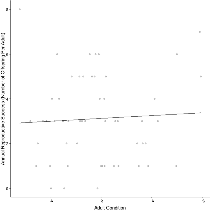 Age and reproductive strategies in European Starlings (Sturnus vulgaris ...