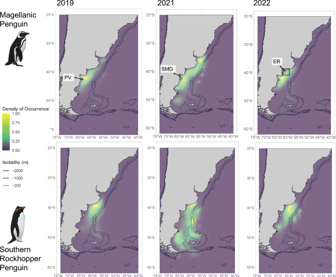 Different migration strategies under warming ocean anomalies in ...