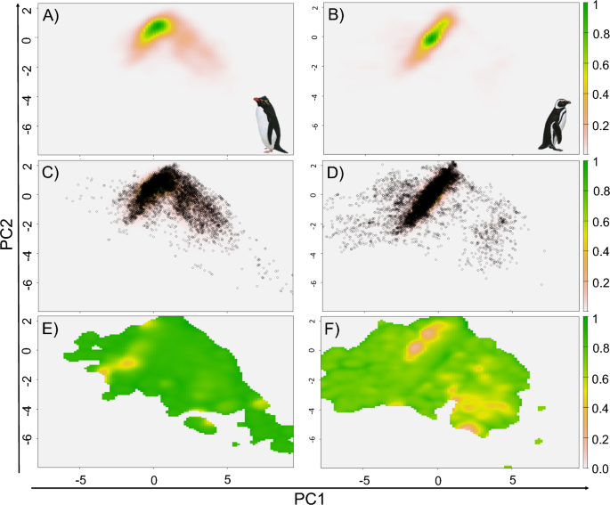 Different migration strategies under warming ocean anomalies in ...