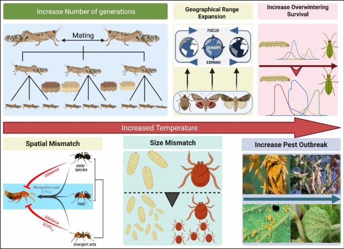 Climate-driven insect pest outbreaks and food security risks: a review ...