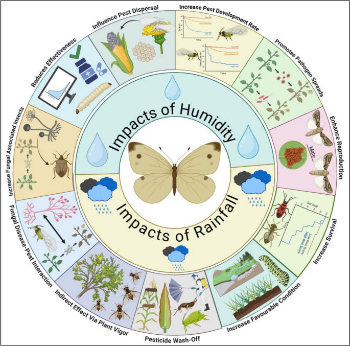 Climate-driven insect pest outbreaks and food security risks: a review ...
