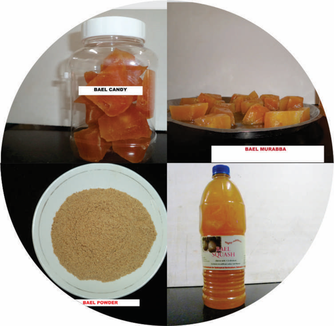 Nutraceutical Profiling and Plant-Based Products of Bael for Human ...