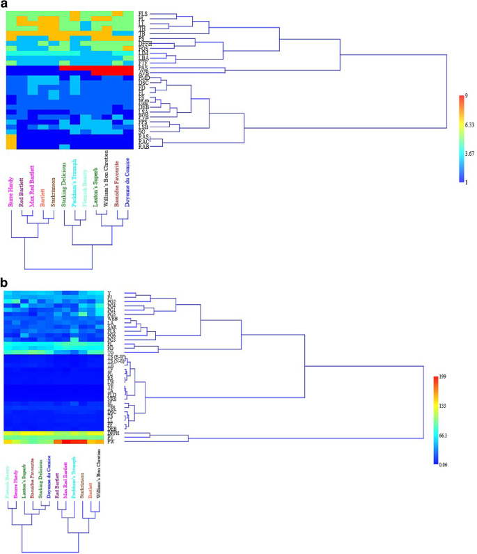 Qualitative and Quantitative Analysis of Pear (Pyrus communis L ...