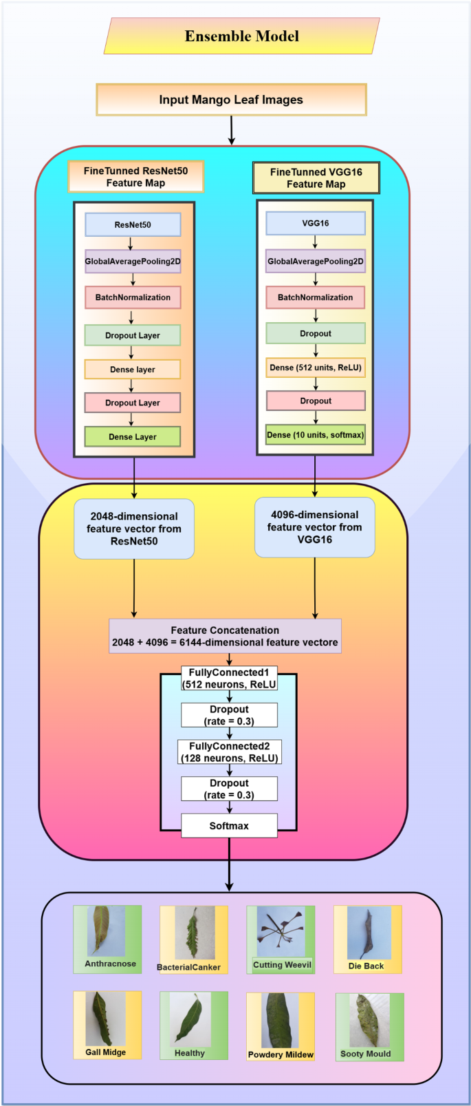 Proposed ResVGG-Net Model for Mango Leaf Disease Classification and Agricultural Sustainability ...