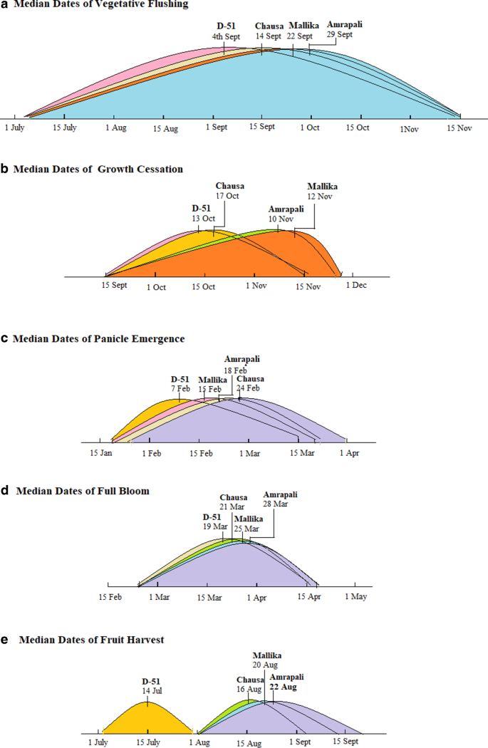 Effect of Anachronic Phenology on Vegetative Flushing, Flowering, and ...