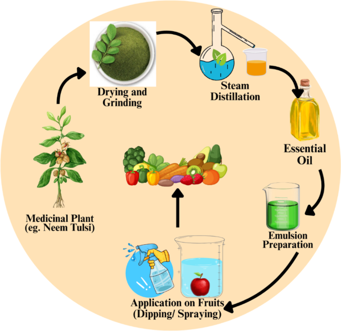 Application of Botanical Extracts for Postharvest Preservation and ...