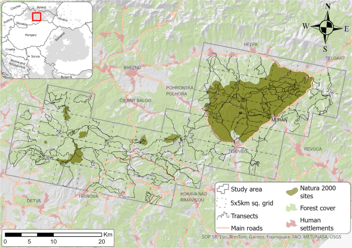 Where the wolves wander? Habitat selection of grey wolves in relation ...