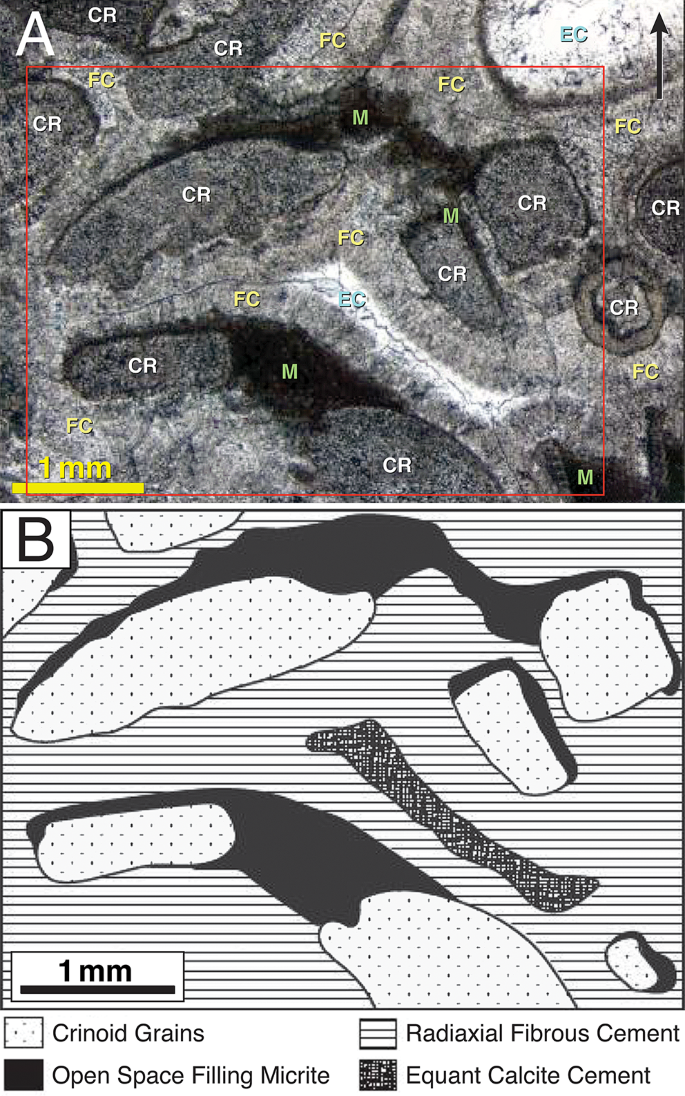 Significance of microbial binding in the formation and stabilization of ...