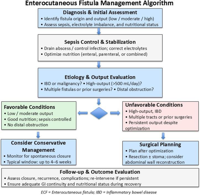 Enterocutaneous fistulas: treatment outcomes and risk factors for ...