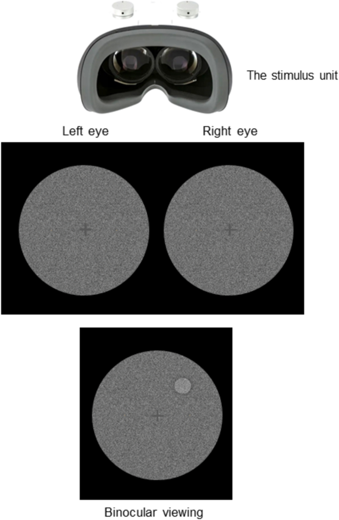 Assessment of paracentral stereopsis using a new method with the ...
