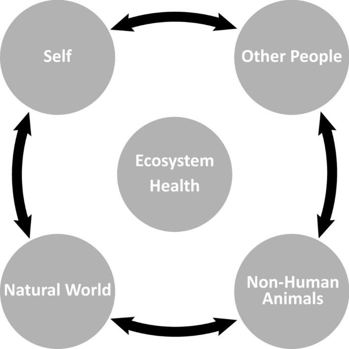 A Consensus Statement for Ecological Medicine: Moving Toward Connection ...
