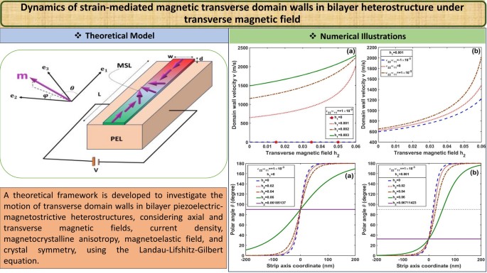 Dynamics of strain-mediated magnetic transverse domain walls in bilayer ...