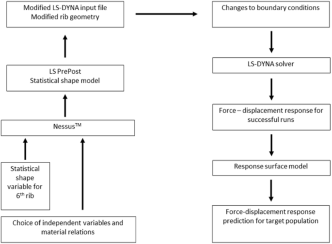 Probabilistic Finite Element Analysis of Human Rib Biomechanics: A Framework for Improved ...