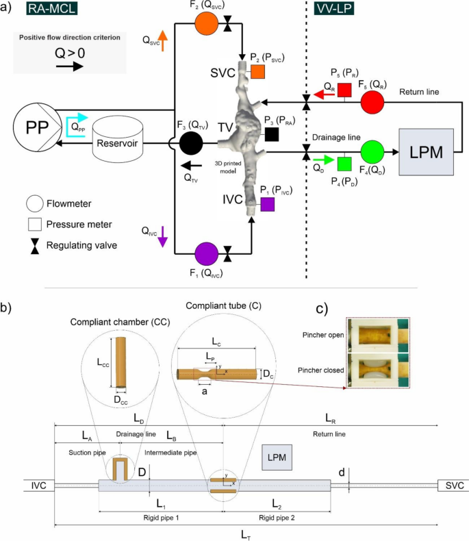 A Novel Valveless Pulsatile Flow Pump for Extracorporeal Blood ...