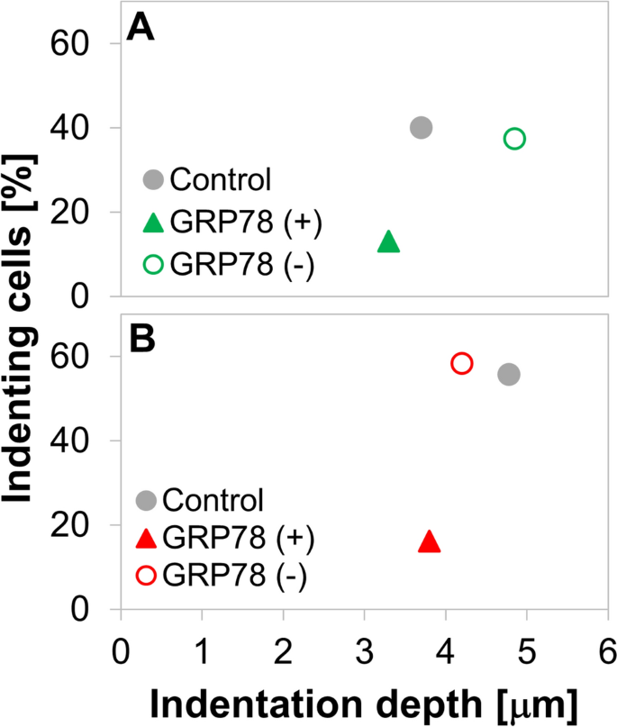 Chemotherapy-Induced Cell-Surface GRP78 Expression as a Prognostic Marker for Invasiveness of ...