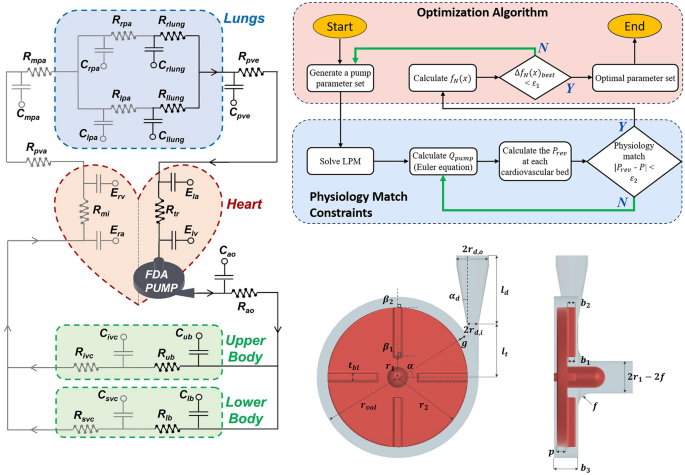 Optimized FDA Blood Pump: A Case Study in System-Level Customized ...
