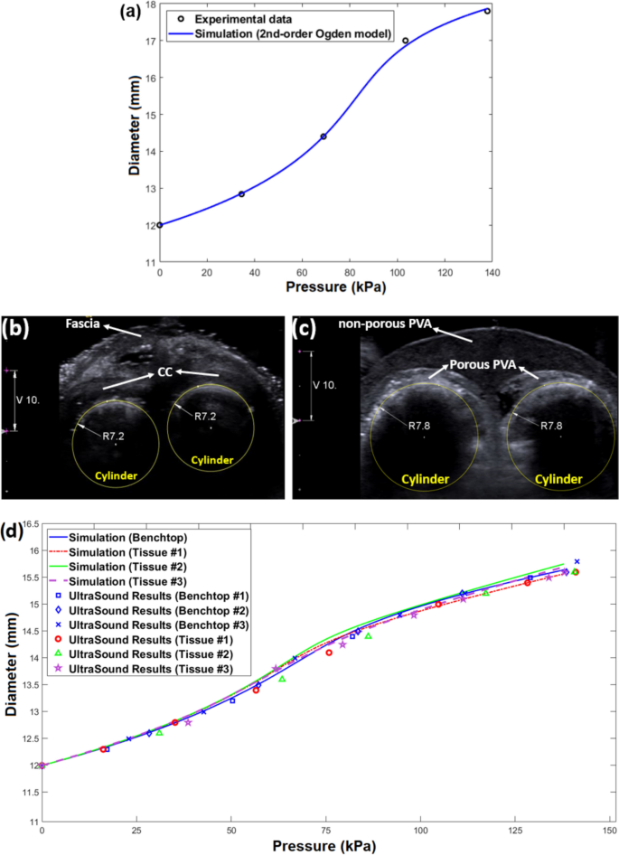 Urological benchtop and in silico models validated by human penile ...