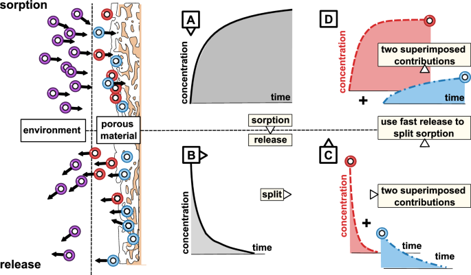 Unraveling overlapping processes in the sorption and in the release ...