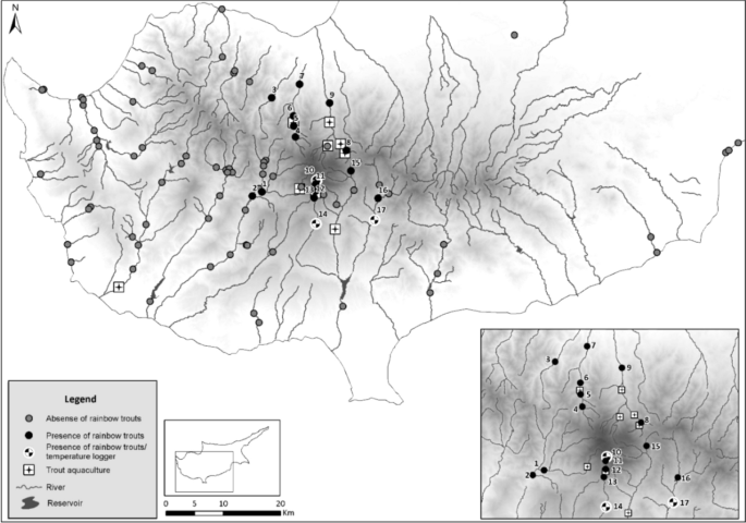 Distribution and population structure of introduced rainbow trout ...
