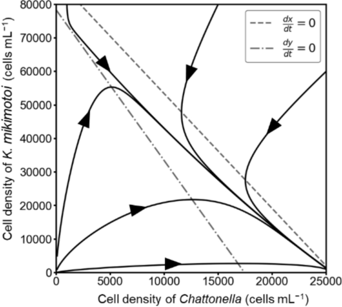 Growth interactions between the raphidophyte Chattonella marina complex ...