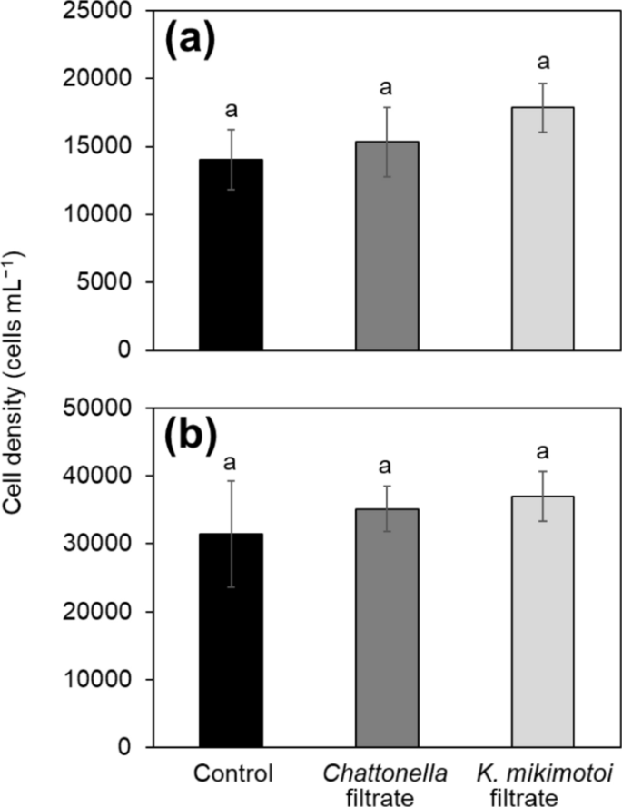 Growth interactions between the raphidophyte Chattonella marina complex ...