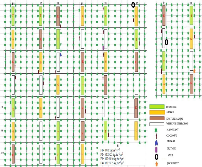 Tree nutrition and productivity changes in mahogany (Swietenia ...