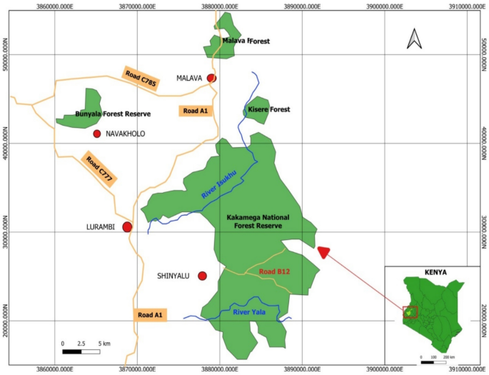 Local community perceptions on ecosystem services utilisation ...