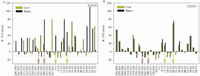 Corn and bean in an agroforestry system: growth, yield, and efficiency ...