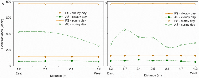 Corn and bean in an agroforestry system: growth, yield, and efficiency ...