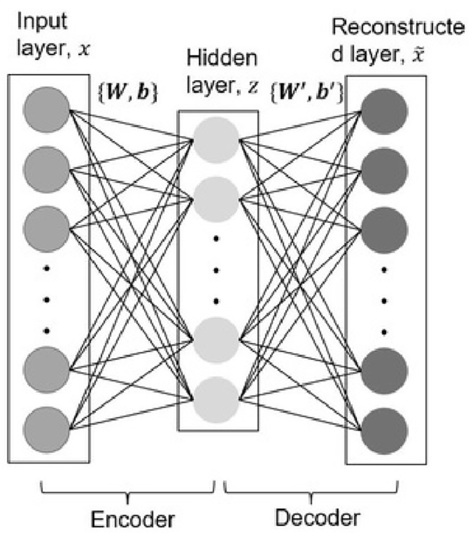 A review of deep learning models and online healthcare databases for ...