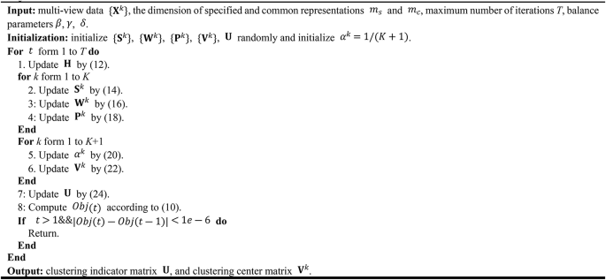 Dual representation learning for one-step clustering of multi-view data | Artificial ...
