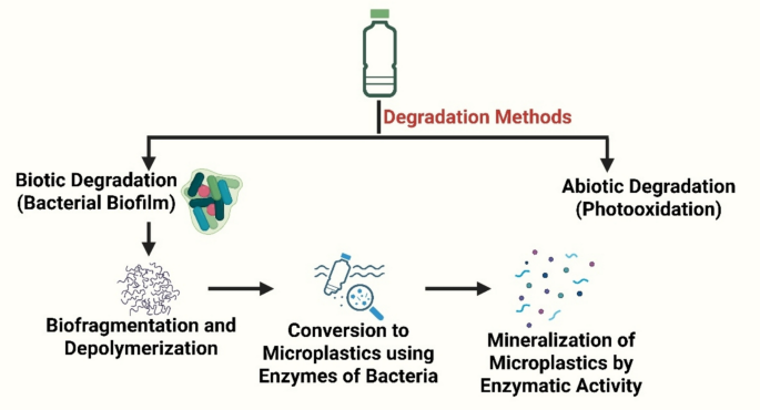A review on microbial-biofilm mediated mechanisms in marine ...