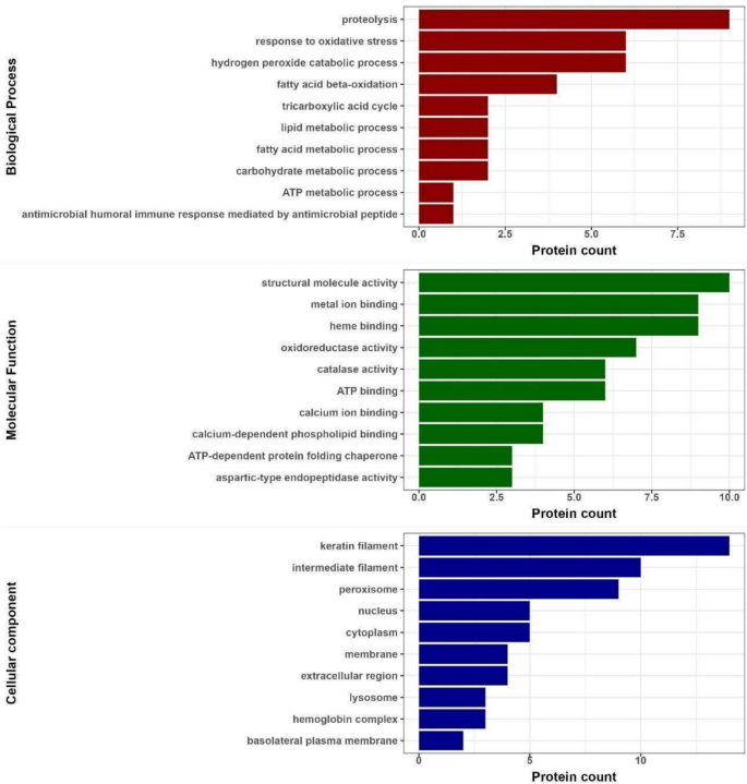 Exploring the associations between preen oil bacterial, chemical and ...