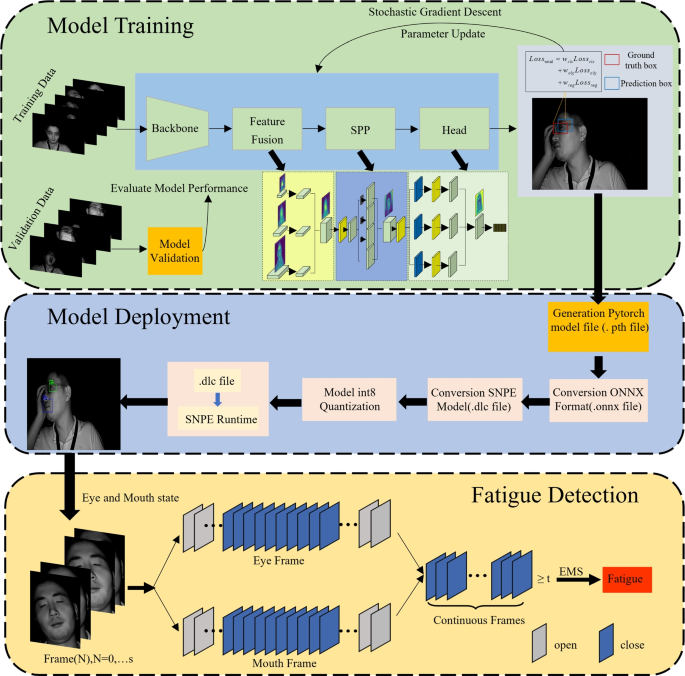 A real-time and lightweight driver fatigue detection model using anchor-free and visual ...
