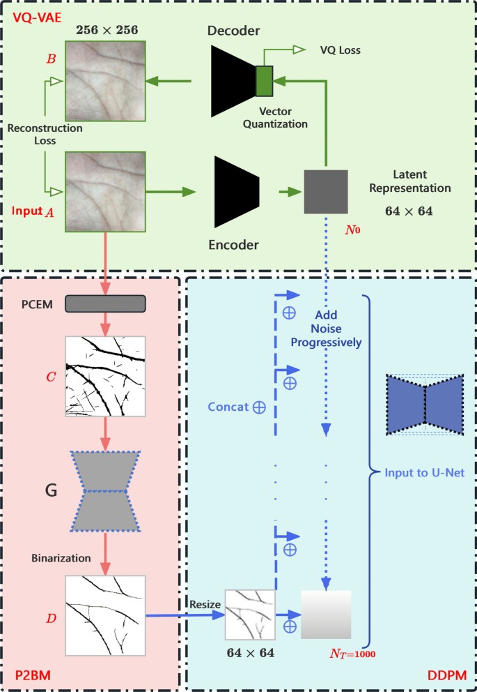 CLDM-Palm: A controllable latent diffusion model for high-fidelity ...