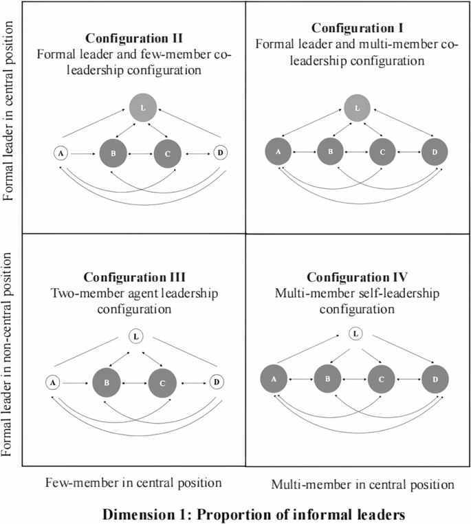 Not all distribution is the same: exploring shared leadership patterns ...