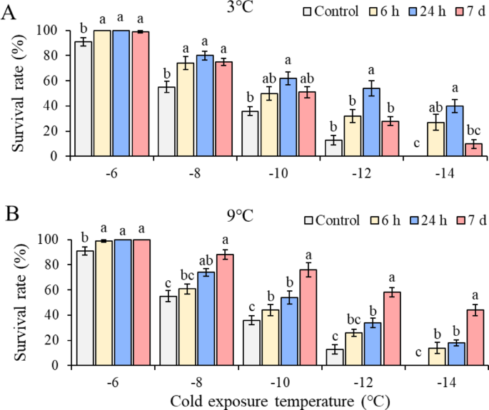 Physiological reprogramming during cold acclimation in the predatory ...