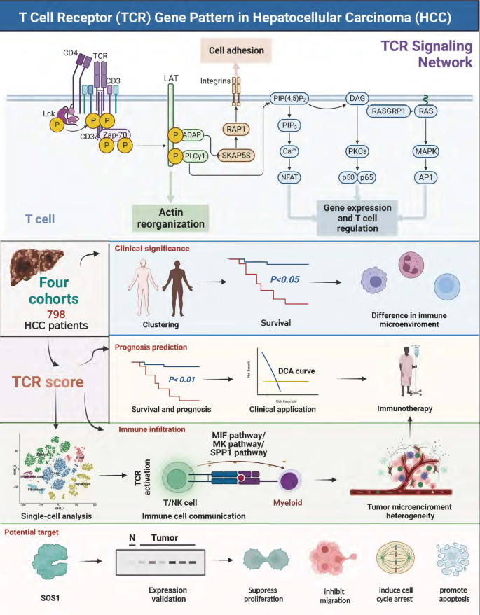 Machine learning-based integration reveals immunological heterogeneity ...