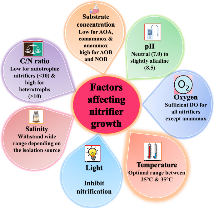 Enrichment of nitrifying microbial communities in aquaculture: current ...