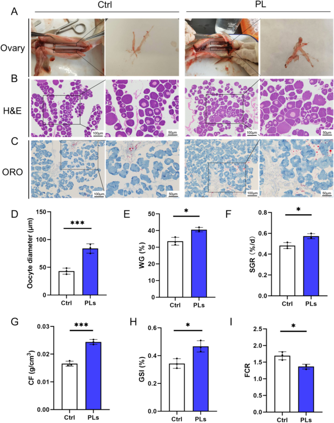 Dietary phospholipid promotes growth, intestinal health, and muscle and ...