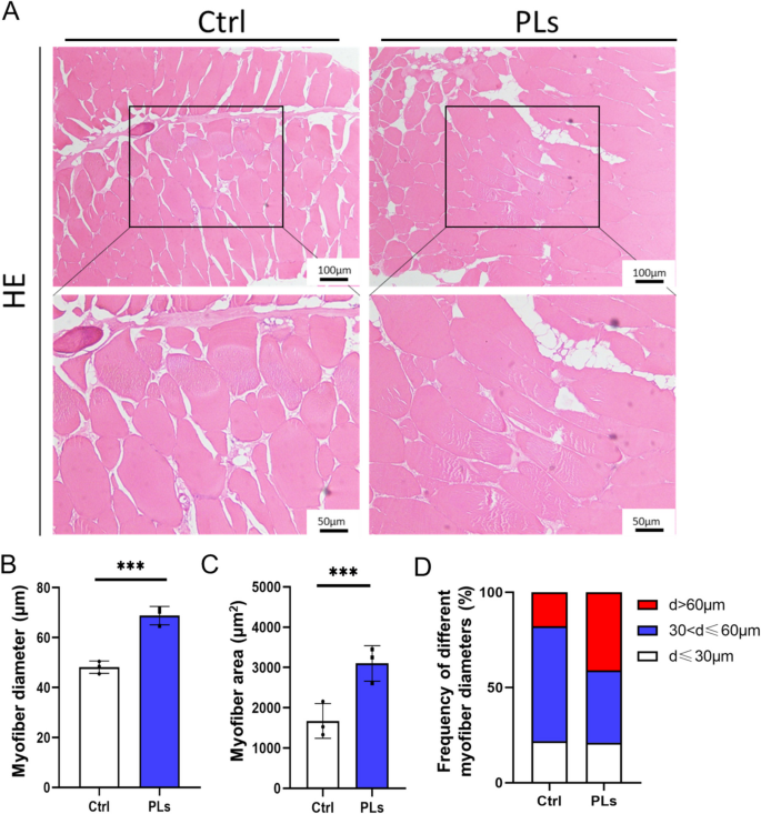 Dietary phospholipid promotes growth, intestinal health, and muscle and ...