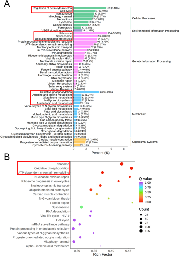 Dietary phospholipid promotes growth, intestinal health, and muscle and ...