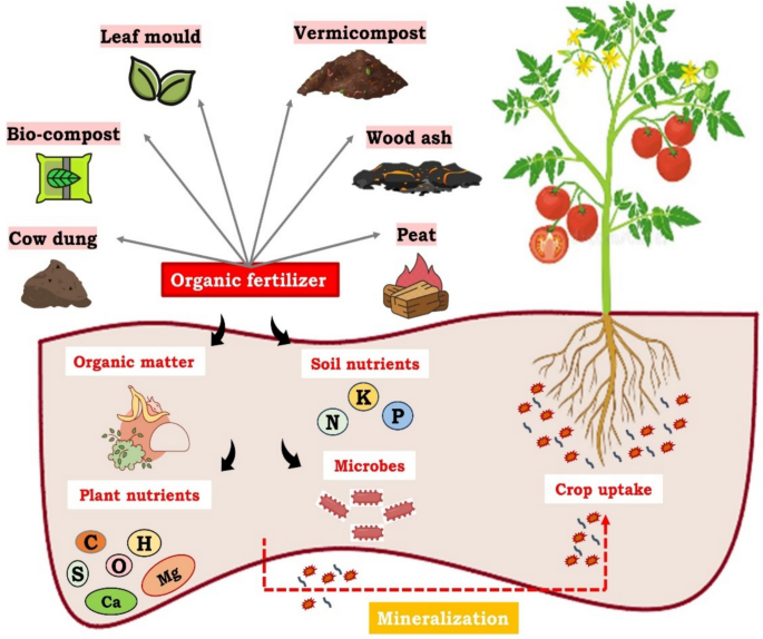 Harnessing seaweed biofertilizers for integrated aquaculture ...
