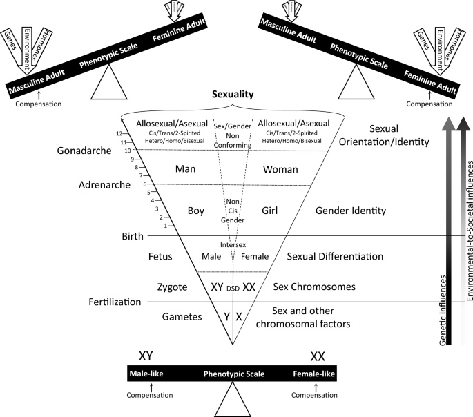 Do Sex and Gender Have Separate Identities? | Archives of Sexual Behavior
