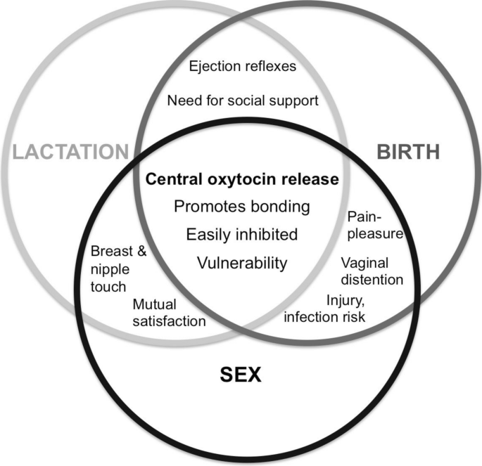 Practice for Parturition: Does Sexual Activity Improve Labor and Birth ...