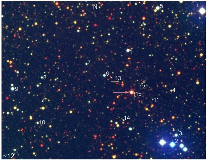 Analysis of photometric and spectroscopic observations of classical ...